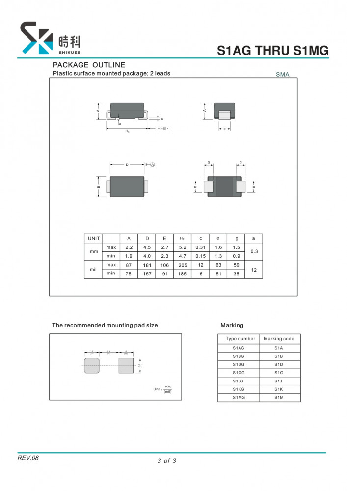 S1DG datasheet page 3