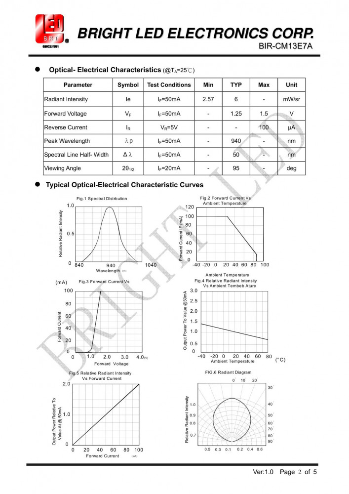 BIR-CM13E7A datasheet page 2