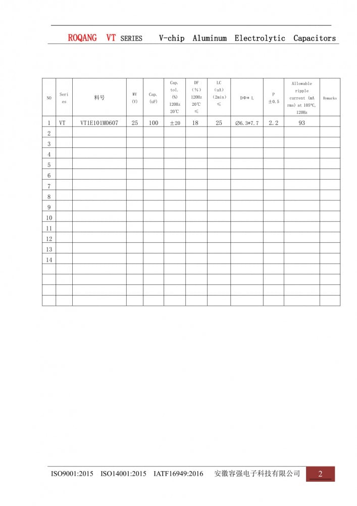 ROQANG VT1E101M0607 technical document page 2