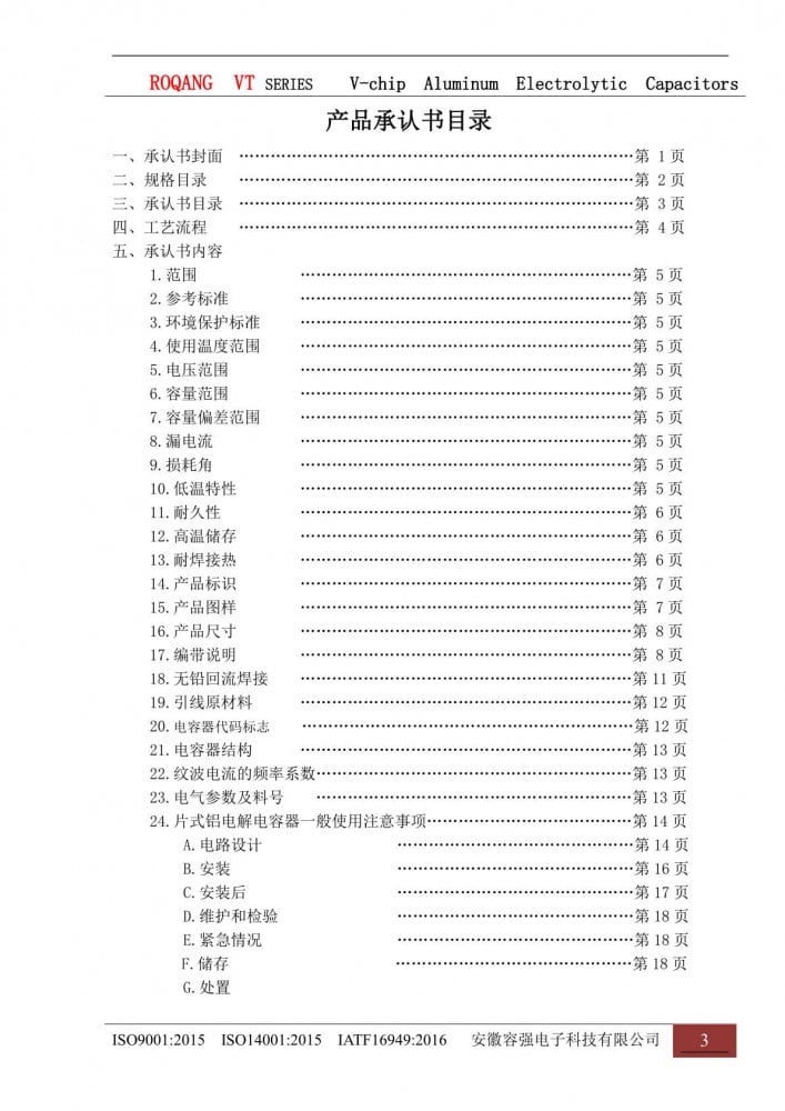 ROQANG VT1E101M0607 technical document page 3