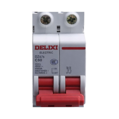 Delixi Electric DZ47SN2C2 Miniature Circuit Breaker
