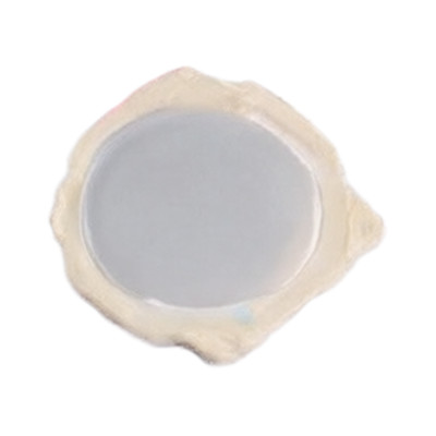 G-Switch GT-TC155A-H0060-L50 Tactile Switch