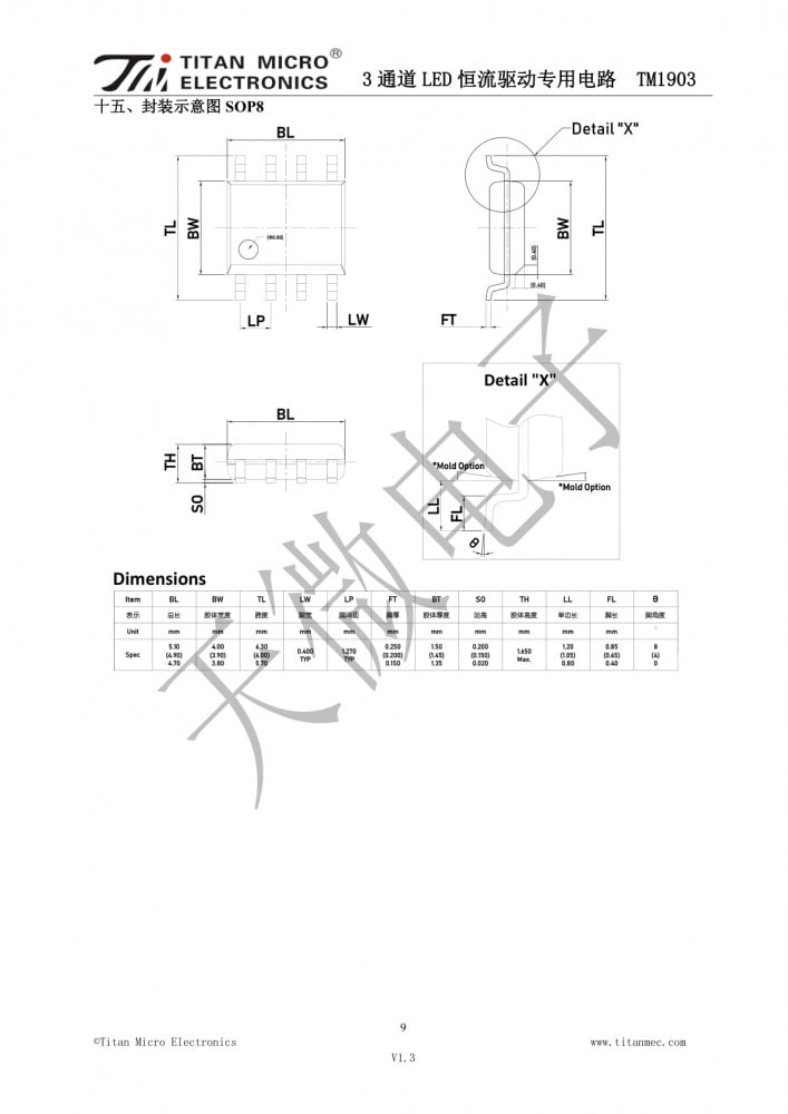 TM1903 datasheet page 9