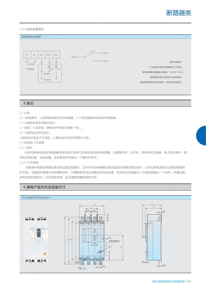 DZ20L technical document page 4