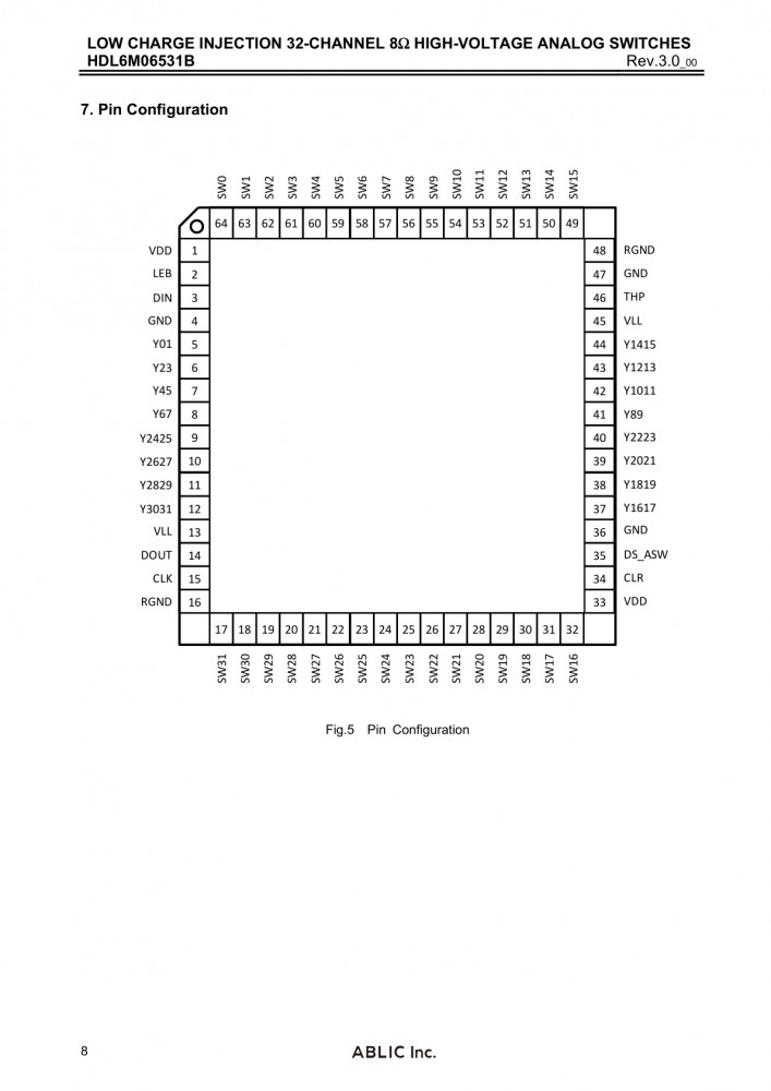 HDL6M06531B datasheet page 8