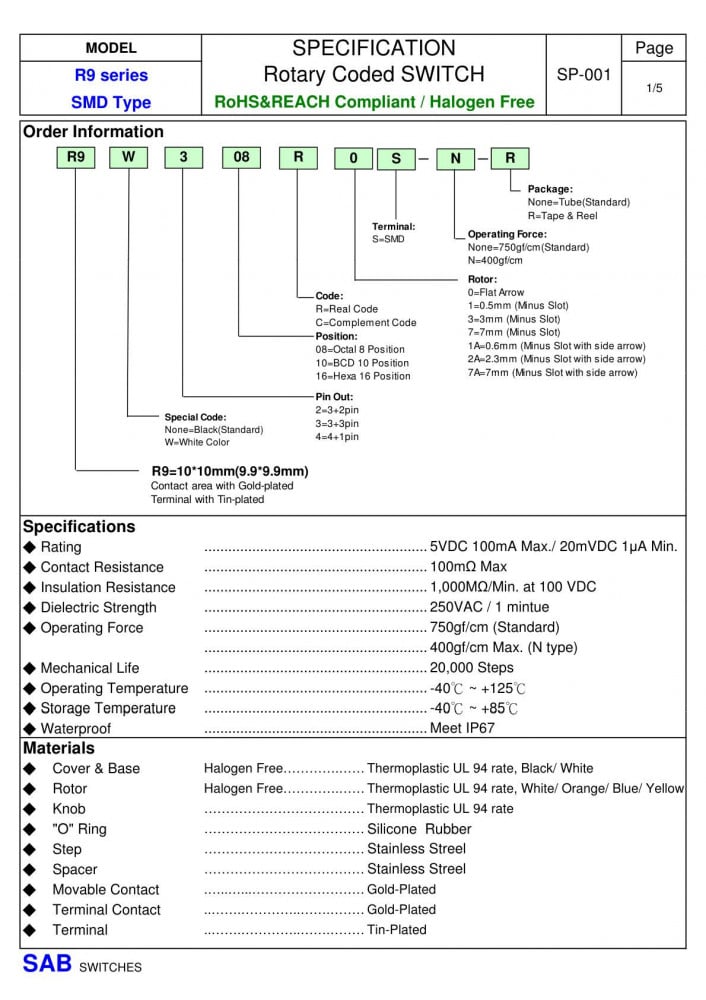 BIWIN R9 series datasheet page 1