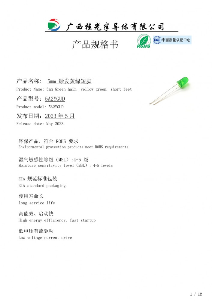 5A2YGUD datasheet page 1