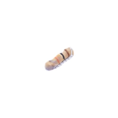 CCO(Chian Chia Elec) CF1W-2KΩ±5% T Through Hole Resistor
