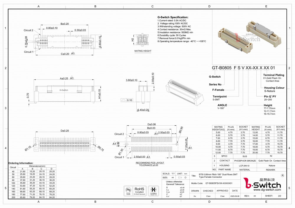 GT-B0805FSV77-100S0101 technical drawing page 2