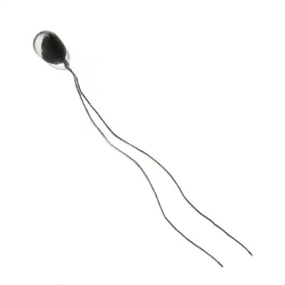 Honeywell 112-103FAD-B01 for sale