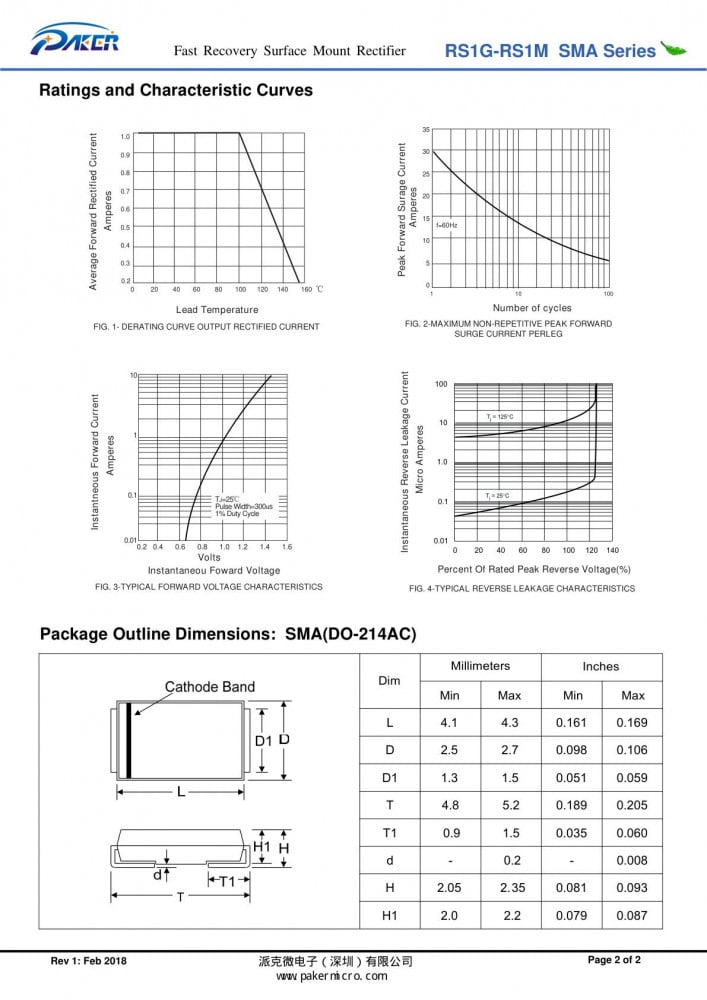 PAKER RS1M datasheet page 2