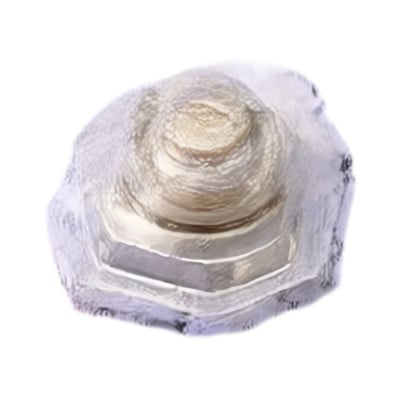 BZCN TSC005B1726A Tactile Switch