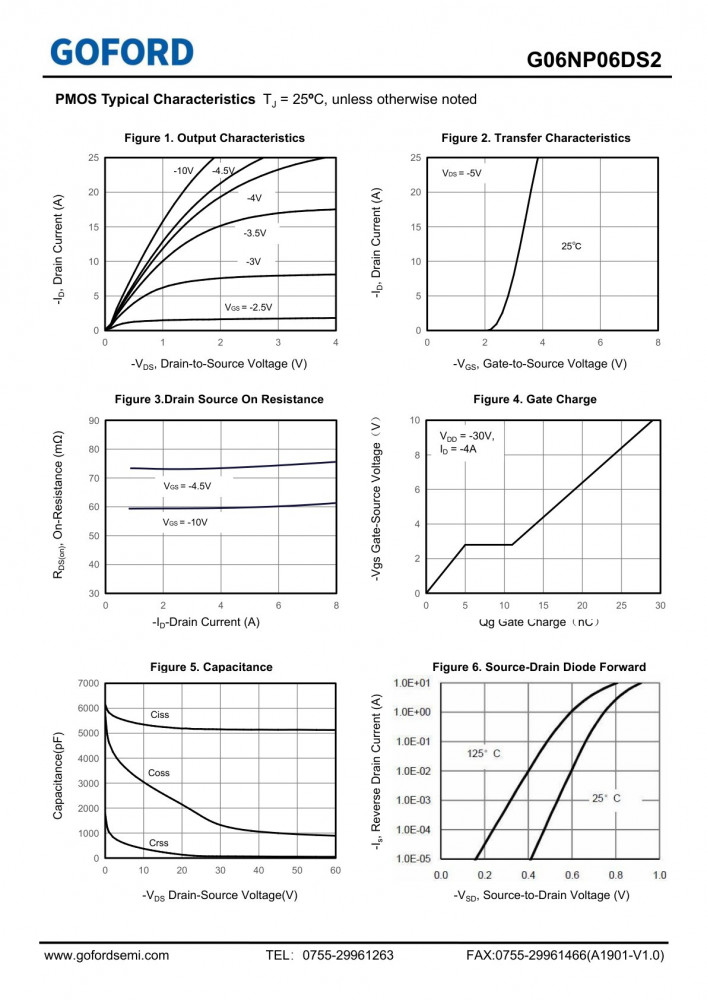 G06NP06DS2 datasheet page 8