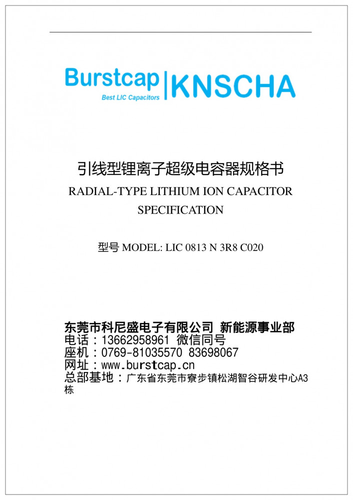 LIC0813N3R8C020 datasheet page 1