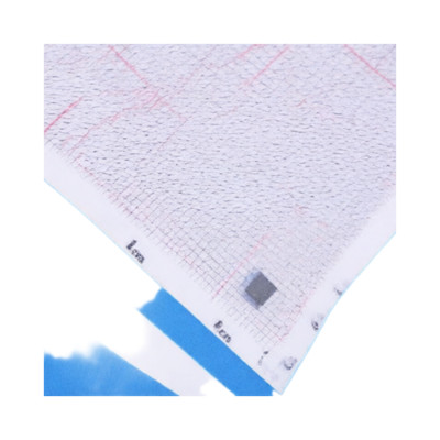 FUDAN MICRO FM33LC046U Microcontroller