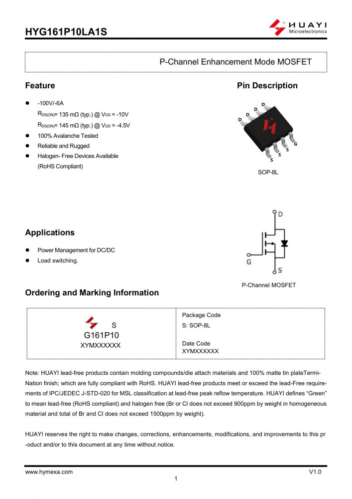 HYG161P10LA1S datasheet page 1