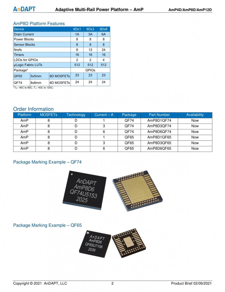 AMP8DS3QF74 datasheet page 2