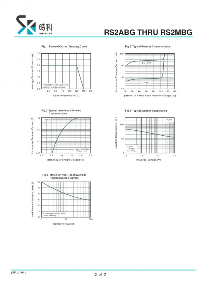 RS2GBG datasheet page 2