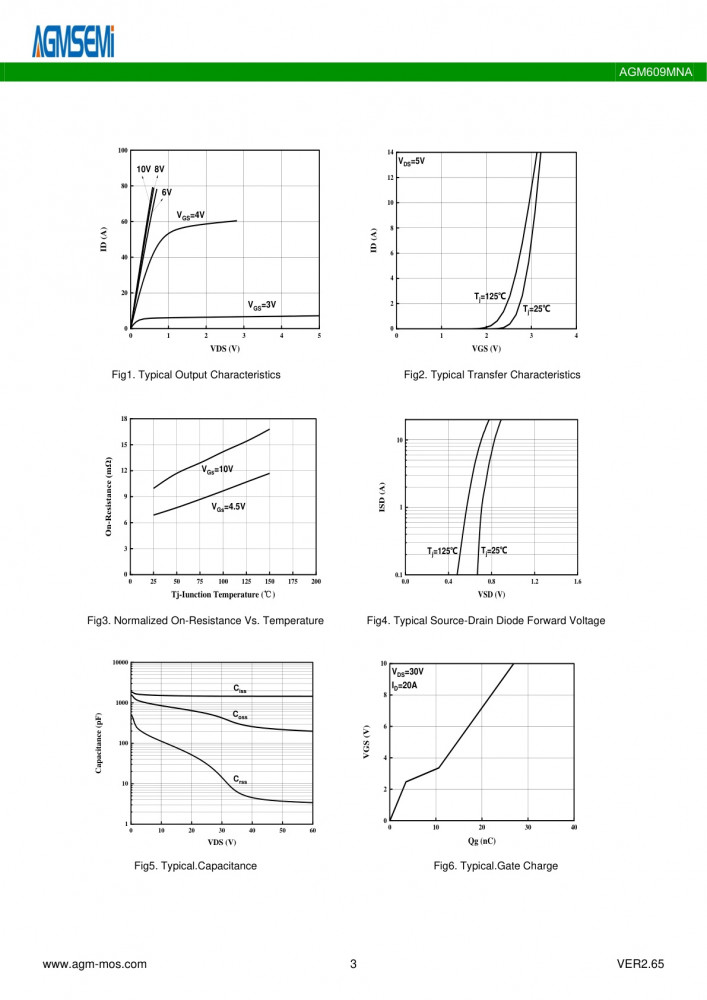 AGM609MNA datasheet page 3