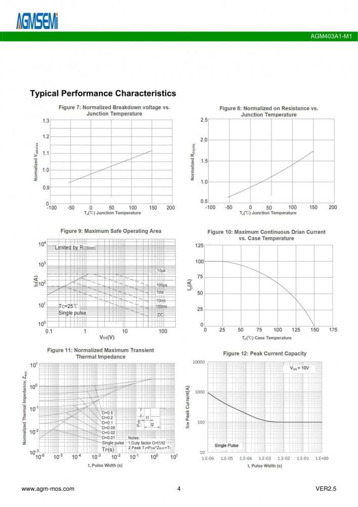 AGM403A1-M1 datasheet page 4