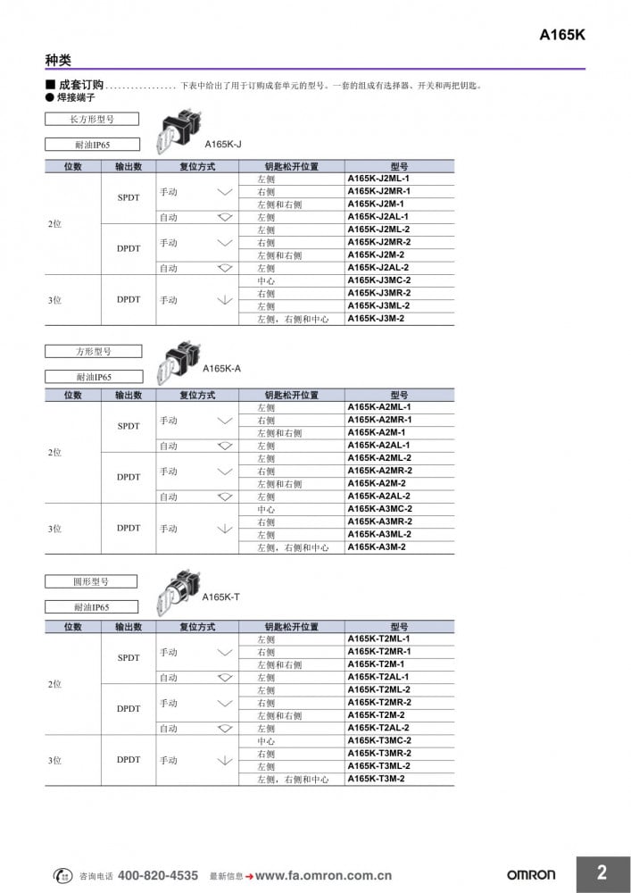 A165K datasheet page 2