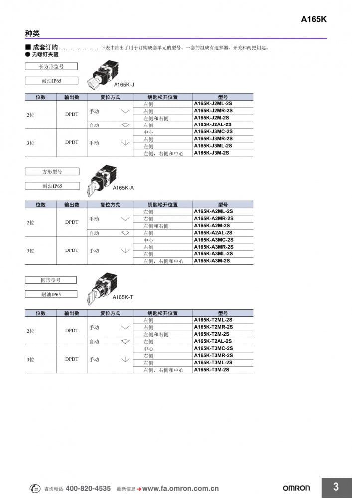 A165K datasheet page 3