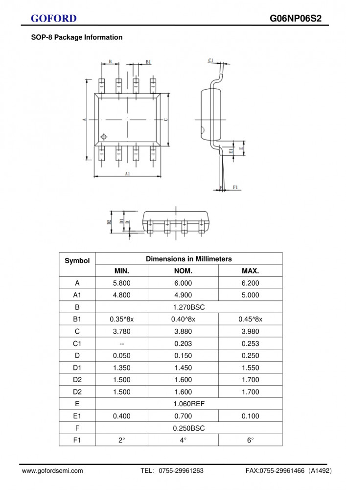 G06NP06S2 datasheet page 10