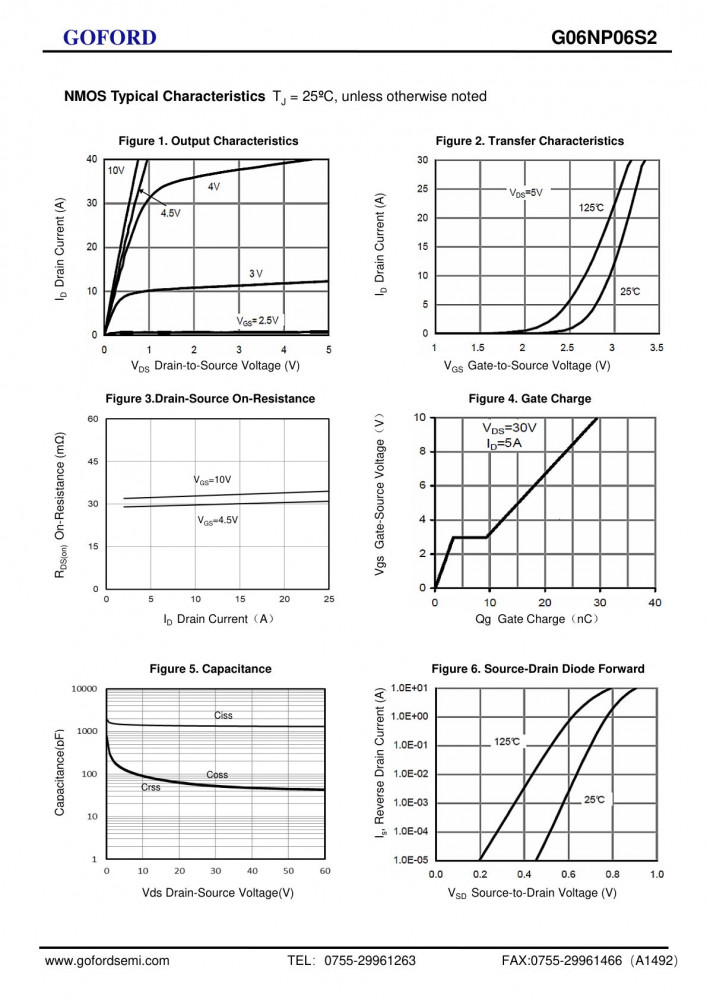 G06NP06S2 datasheet page 4