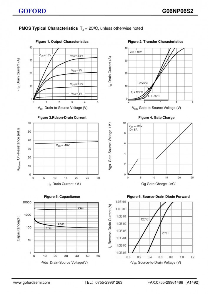 G06NP06S2 datasheet page 8