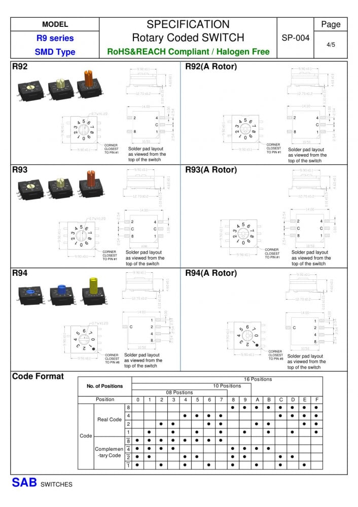 BIWIN R9 series datasheet page 4