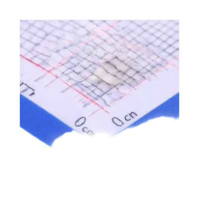 Littelfuse 0458010.DR Fuse