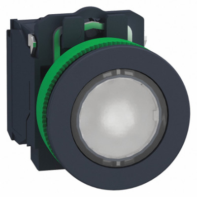 Schneider XB5AP31 Pushbutton Switch
