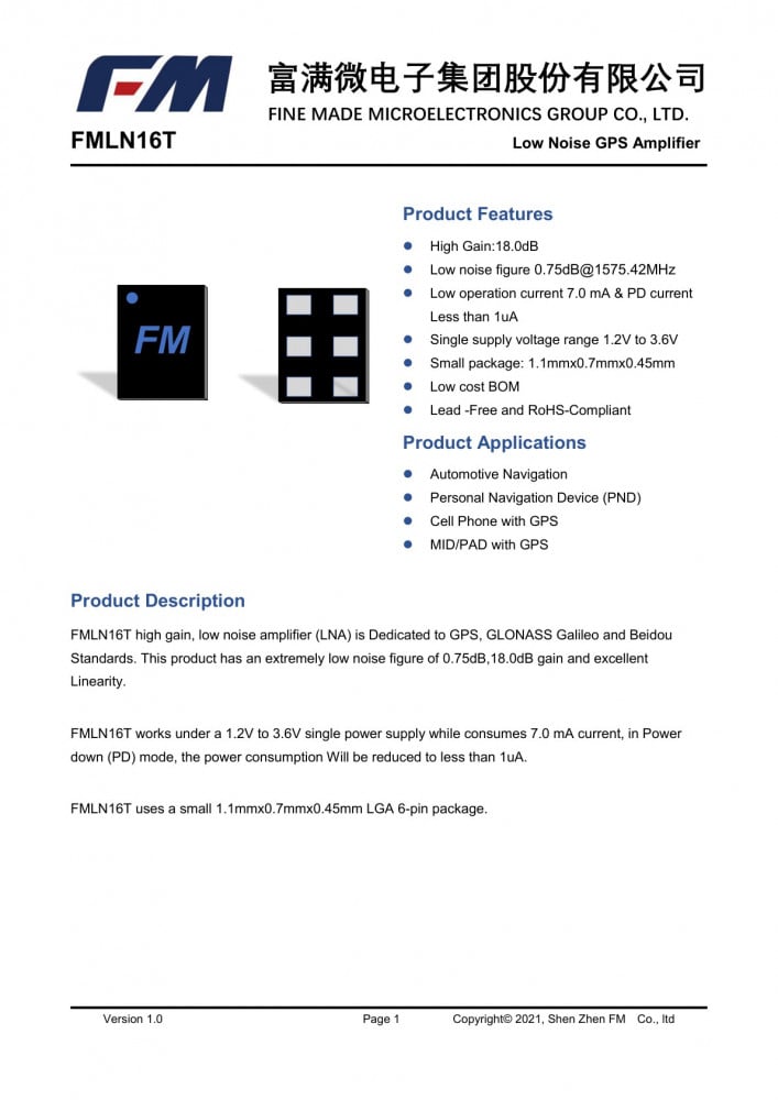 FMLN16T datasheet page 1