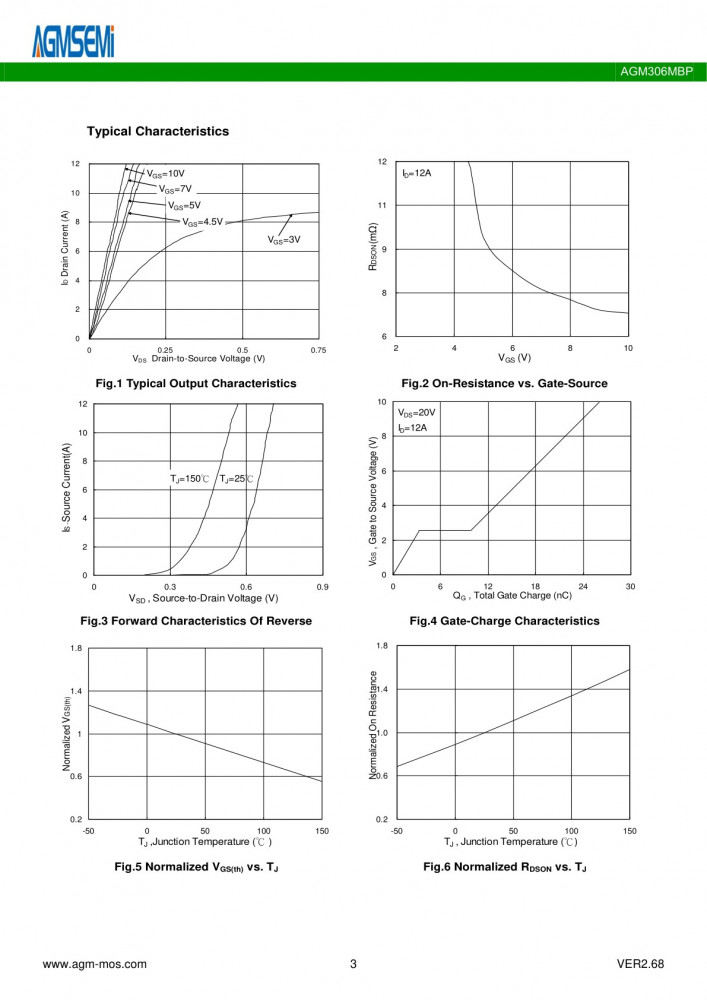 AGM306MBP datasheet page 3