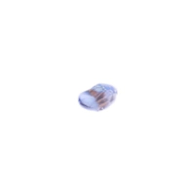 Chilisin CS0402-3N3H-S Fixed Inductor Chip