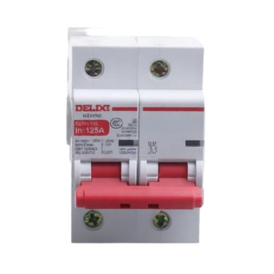Delixi Electric DZ47V1254D80 Miniature Circuit Breaker