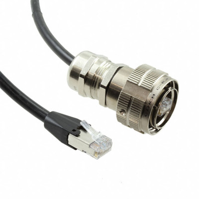 CINCH C-RJFTV5E1706PG10 Modular Ethernet Cable (RJ45/RJ11)