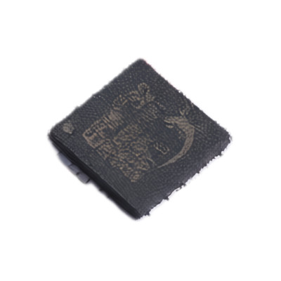 SILICON LABS EFR32FG23A010F256GM40-C