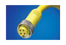 DeviceNet Micro-Change Single-Ended Cordset, 5 Poles, A-Coded, Female (Straight) to Pigtail, 2.0m (6.56') Length