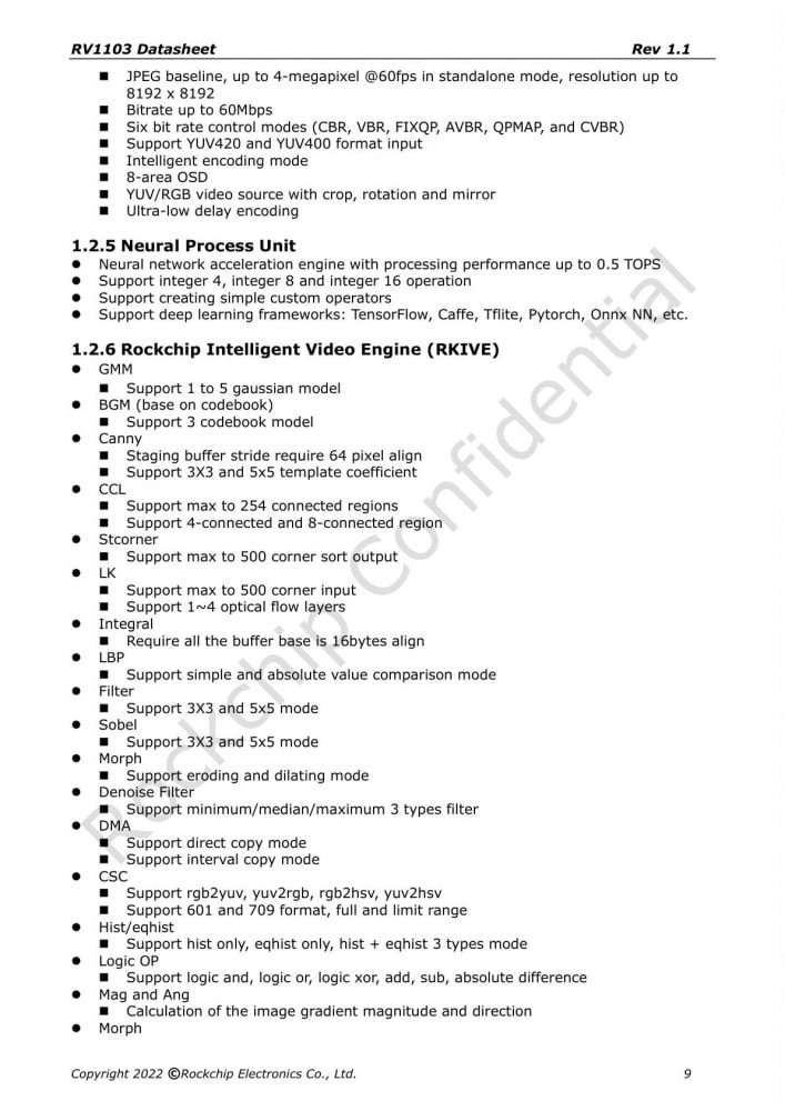 RV1103 datasheet page 9