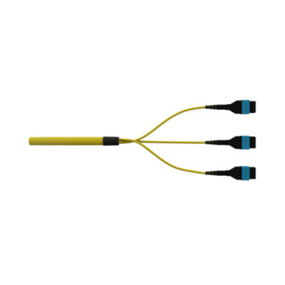Trunk cable assembly, LSZH, 24 fibers, singlemode OS2, CCA, 10 meters for sale