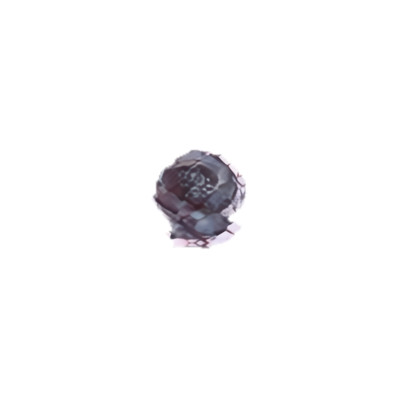 FOLLON EFVM050ADA101M0865