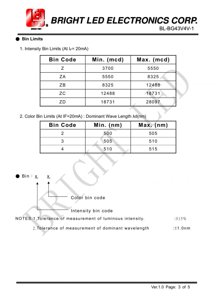 BL-BG43V4V-1 datasheet page 3