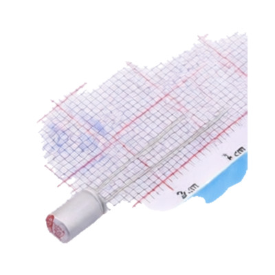 KNSCHA 217EC0007