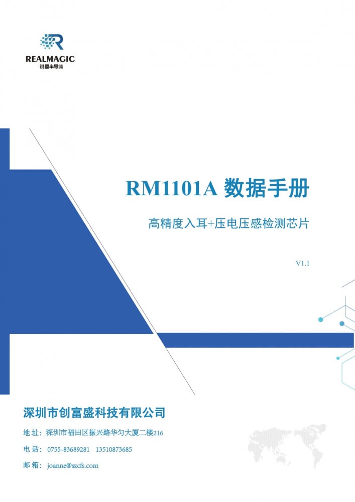 RM1101A datasheet page 1