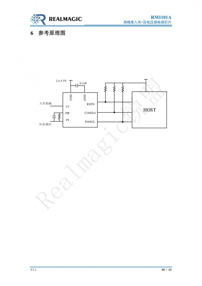 RM1101A datasheet page 10