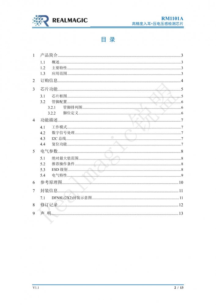 RM1101A datasheet page 2