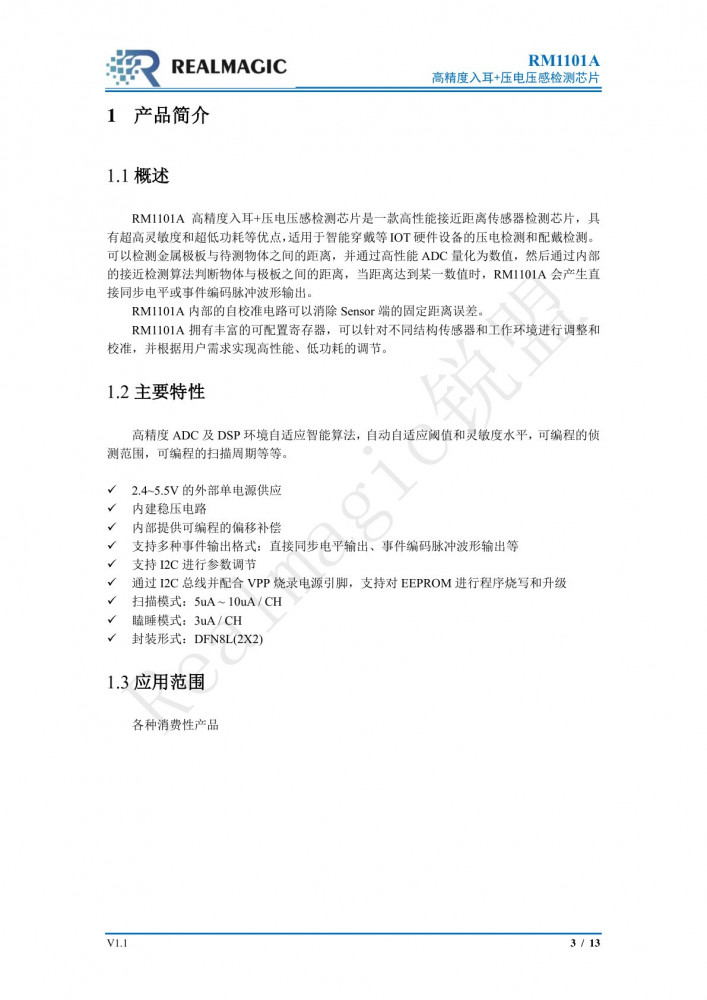 RM1101A datasheet page 3