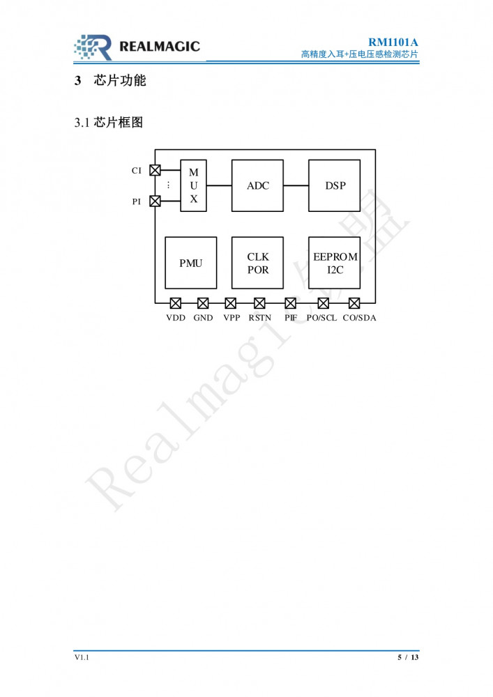 RM1101A datasheet page 5