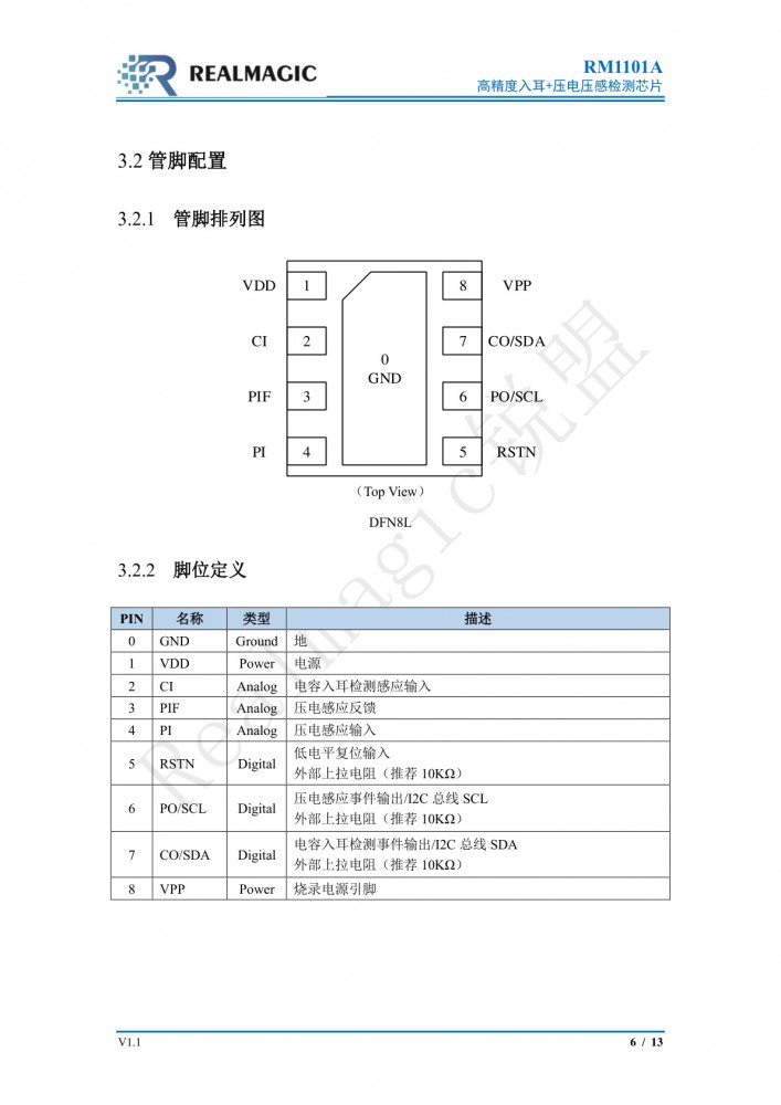 RM1101A datasheet page 6